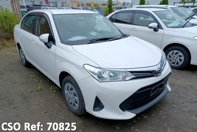 Japanese Used Cars Exporter and Car Auction Expert CSO Japan